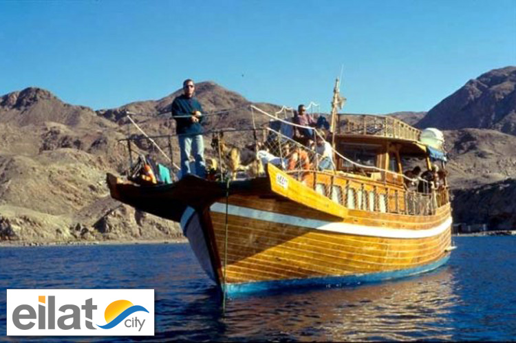 תרשיש אילת | מדריך אילת פלוס